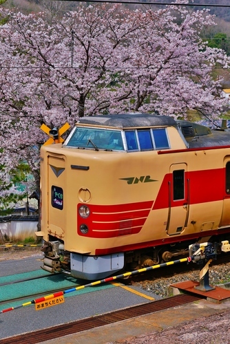 381系『 中イモ JNR色（6両）編成：伯備線 定期特急 』】: ( Crystal ( Clear ( Central^^)))