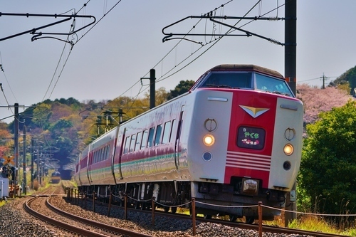 381系 》中イモ 》ゆったり色 》 両: ( Crystal ( Clear ( Central^^)))